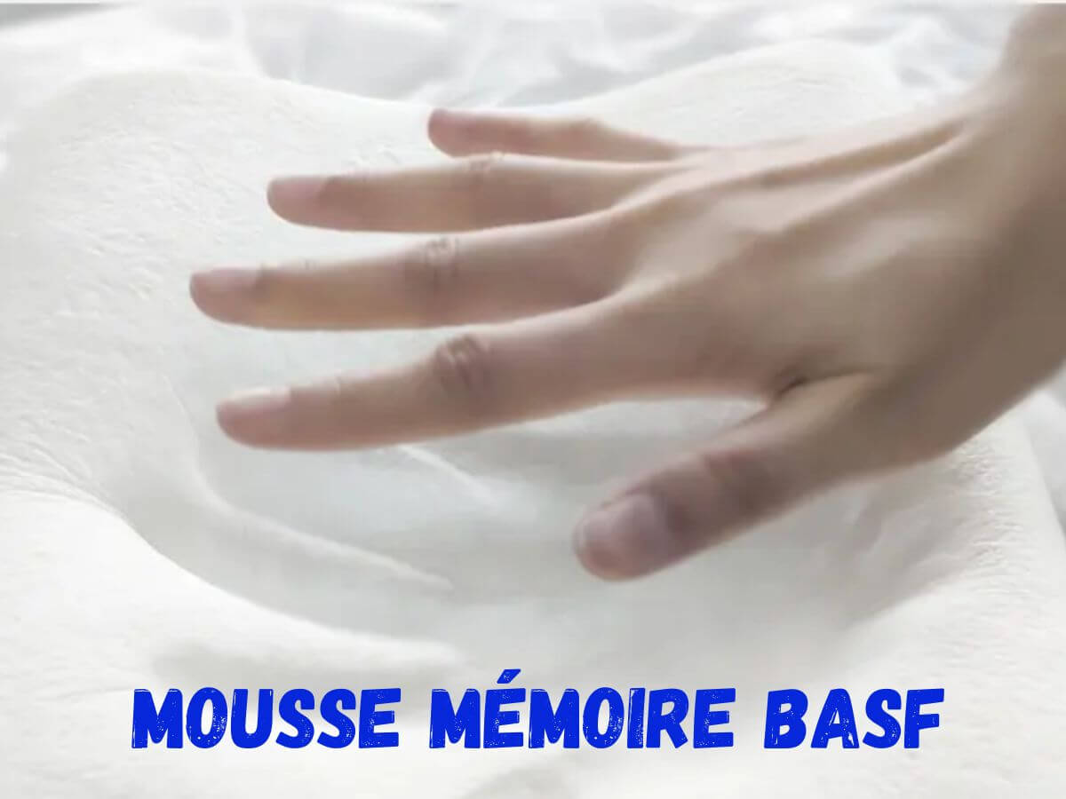 Memory Foam Neck Pillow with Gel – Protech Allergies